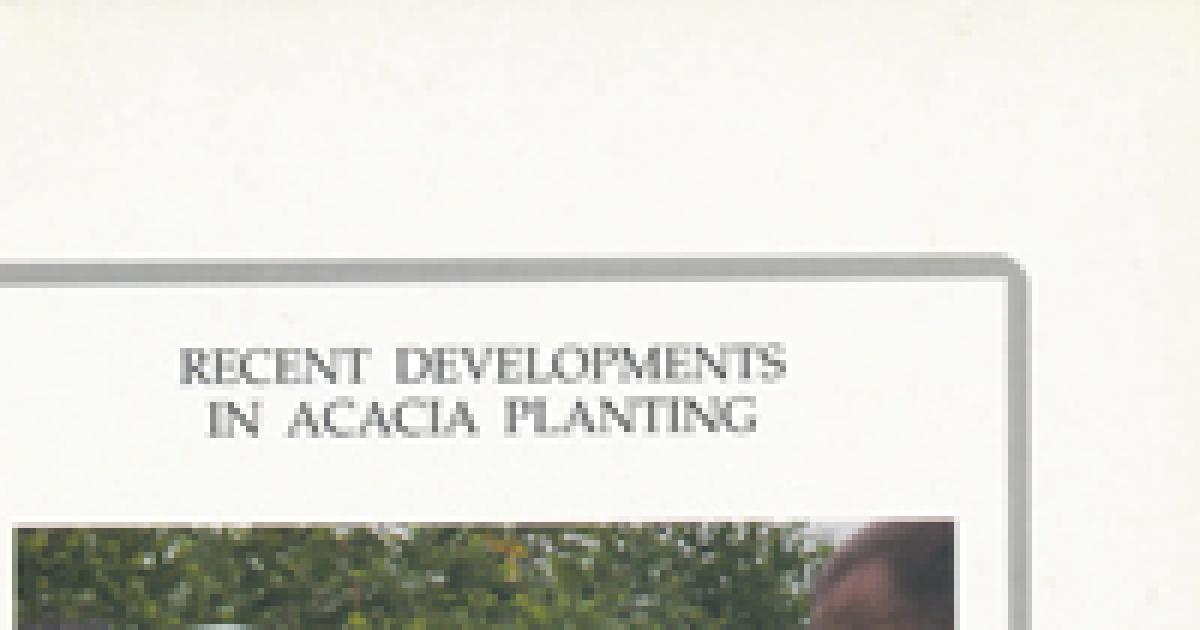 Recent developments in acacia planting | ACIAR